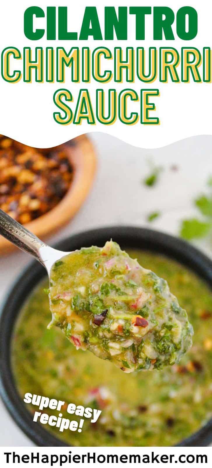 Cilantro Chimichurri Sauce Recipe - The Happier Homemaker