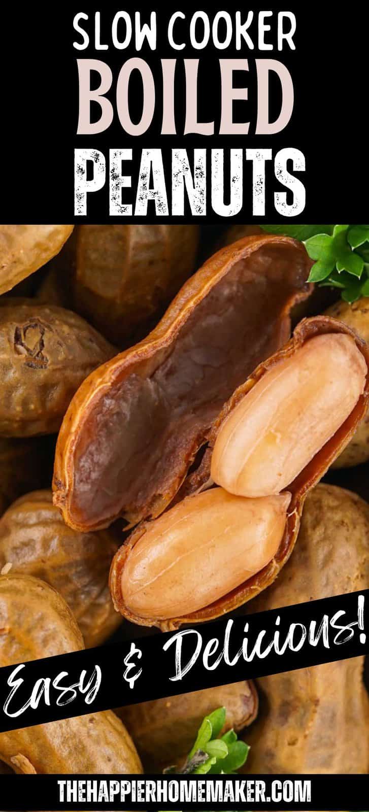 Slow Cooker Boiled Peanuts - The Happier Homemaker